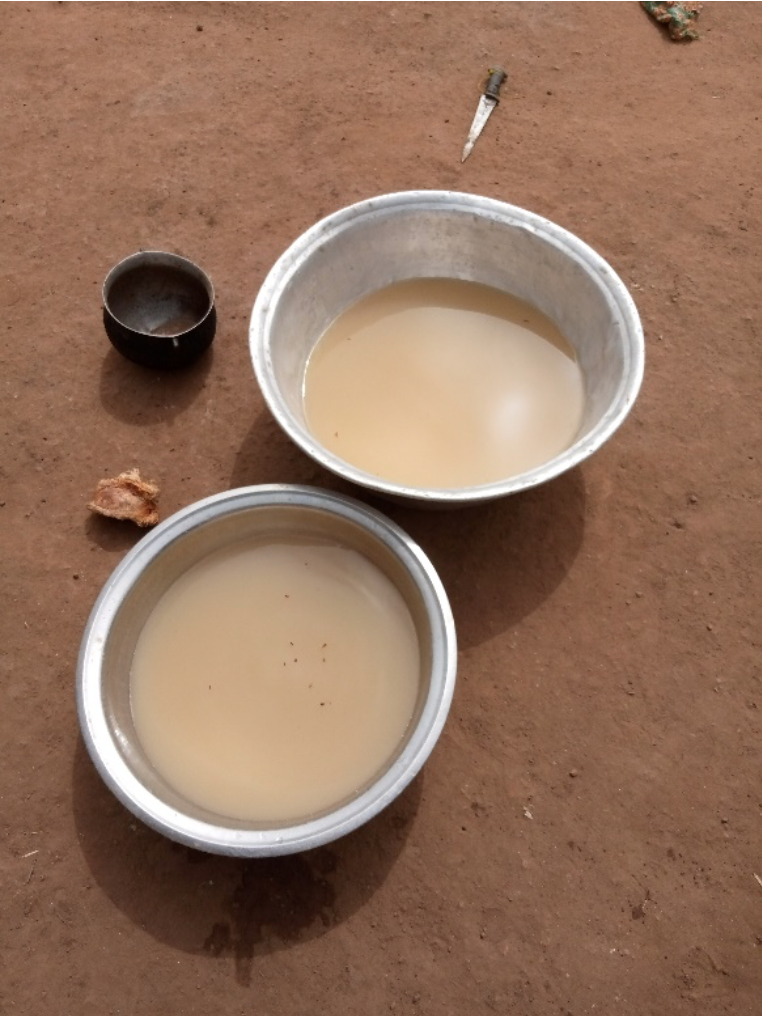 Pozo y bomba solar en Sinendé, Benín: agua potable y salud para la ...